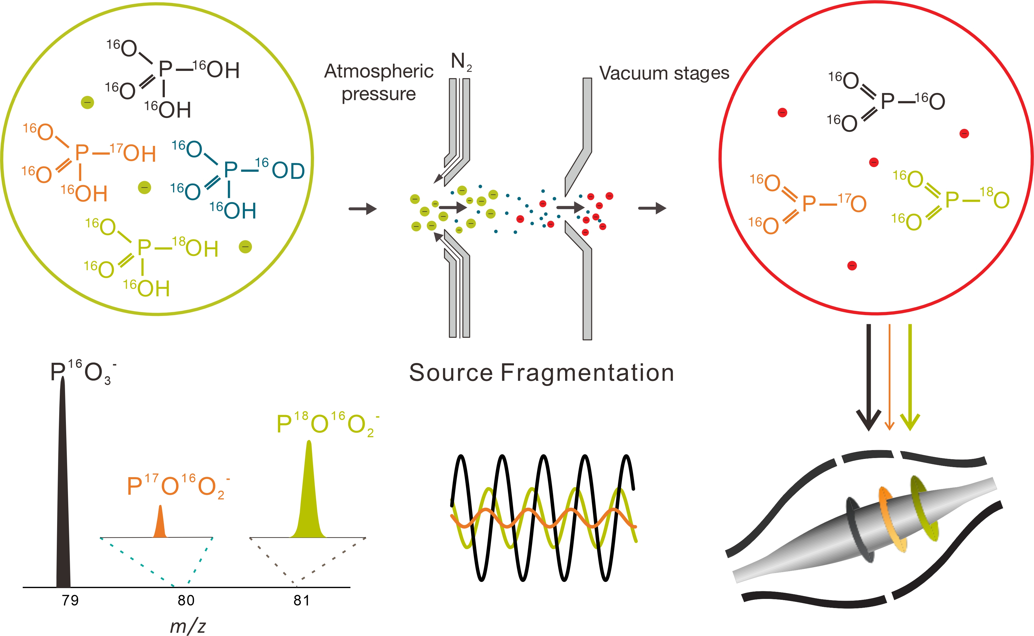 Home [www.icier-nju.org]